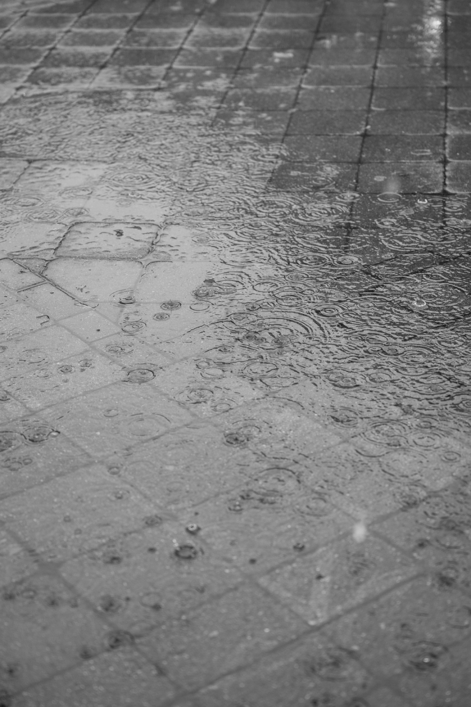What To Remember If It Rains On Your Wedding Day Rebeccacee What To Remember If It Rains On Your Wedding Day Rebeccacee