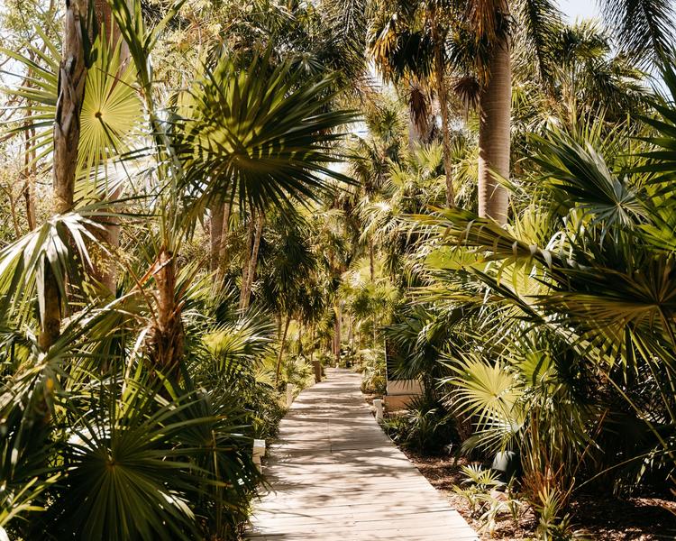 Romantic Destination Wedding at Vidanta Riviera Maya - William Avery ...