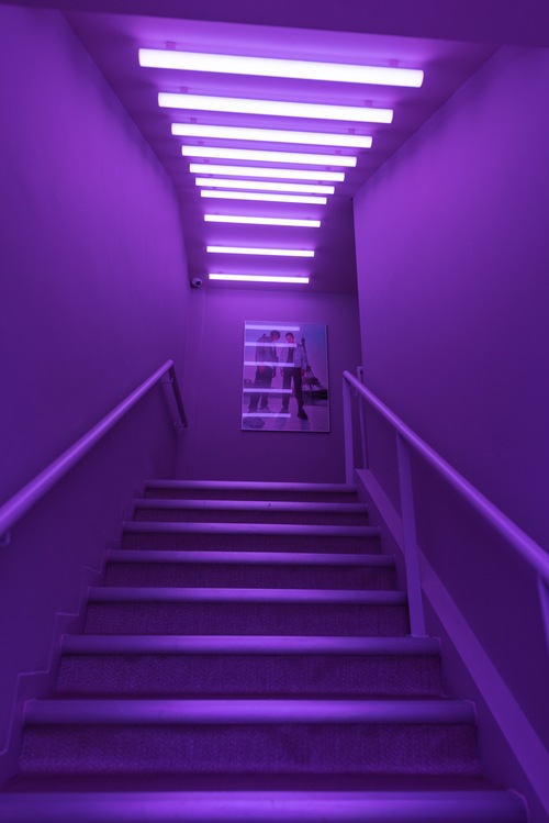 Boohoo London Headquarters // ALEX DIMOPOULOS