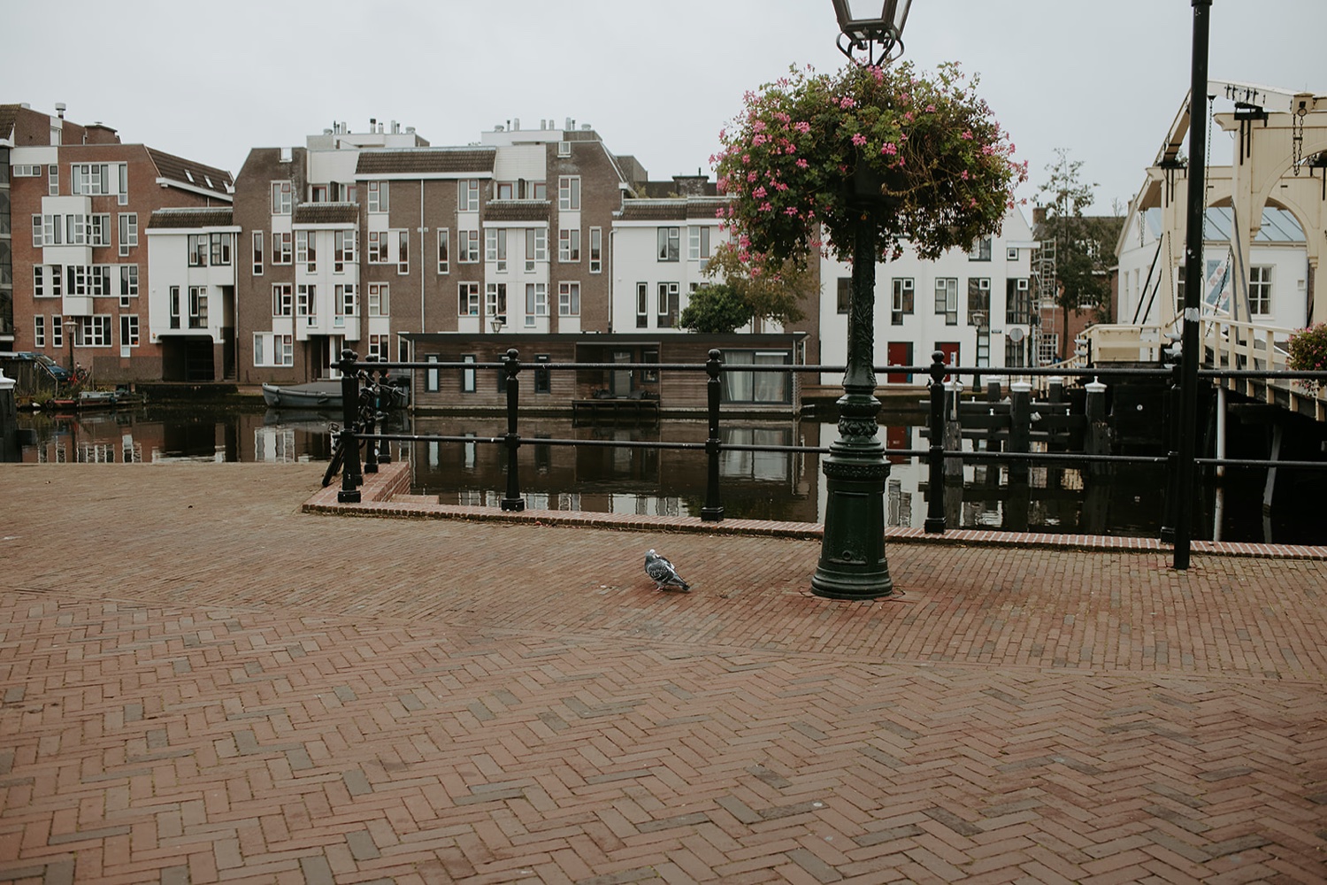 Holland - Dallas Olga Photography