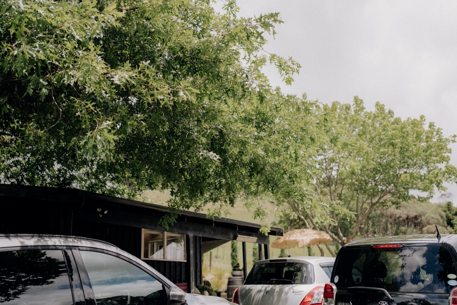 Rosie and Logan // Waterfall Farm Kaukapakapa - Rebecca Bradley Photography