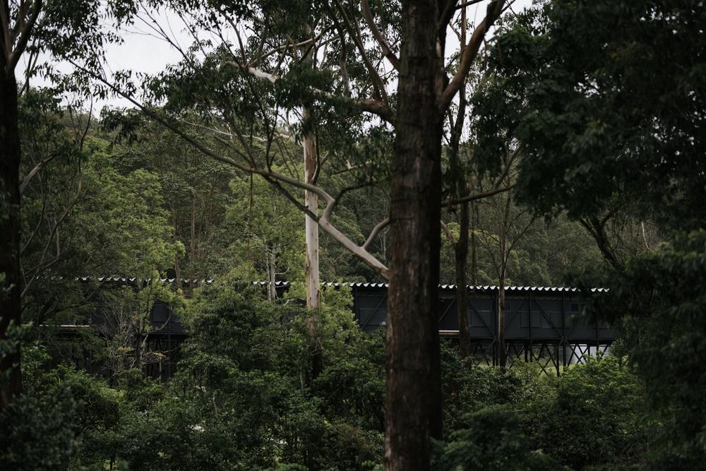 Bundanon Art Museum Wedding Photographer