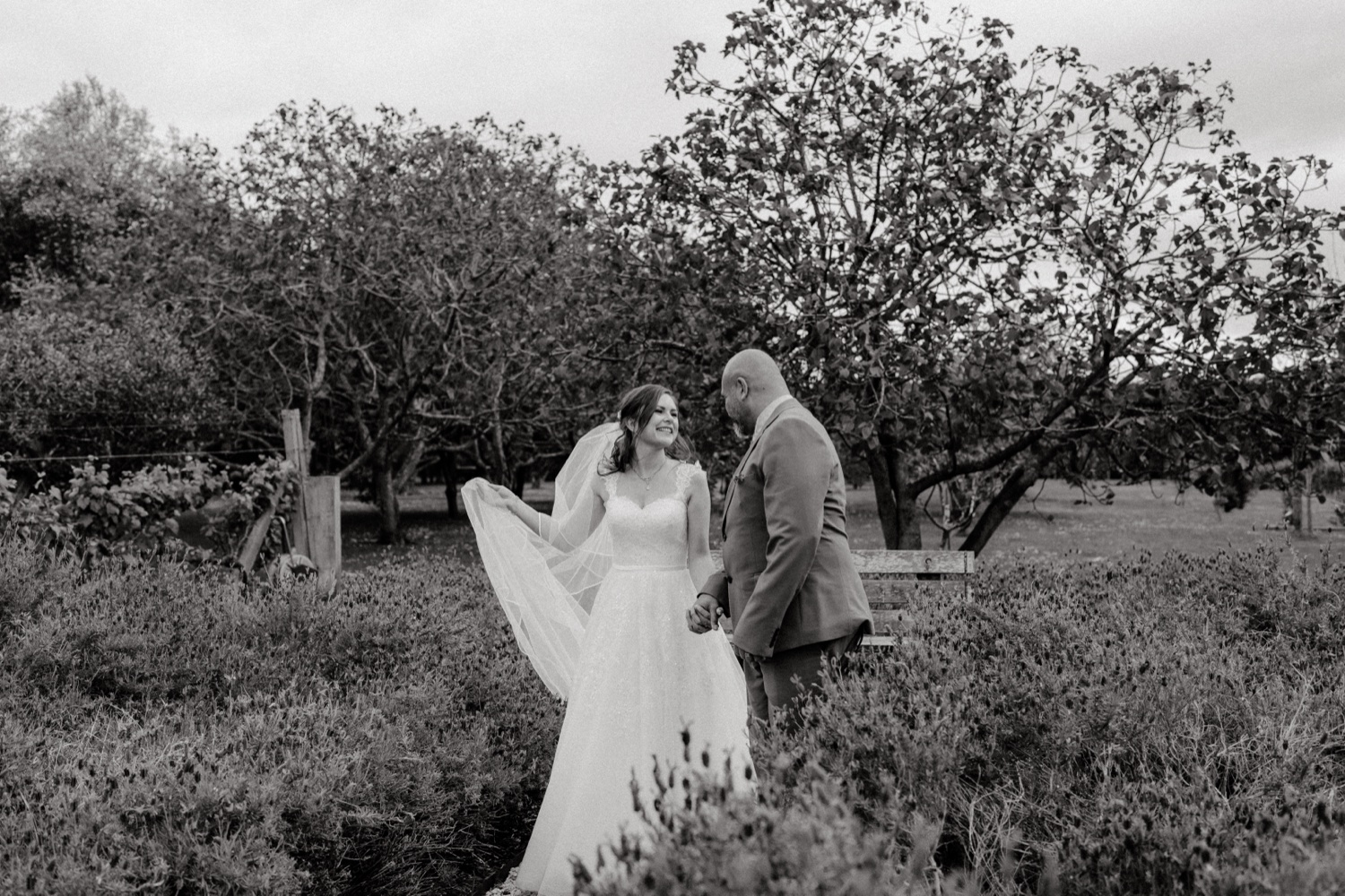 Morgan and Tana // Markovina Vineyard Estate - Rebecca Bradley Photography