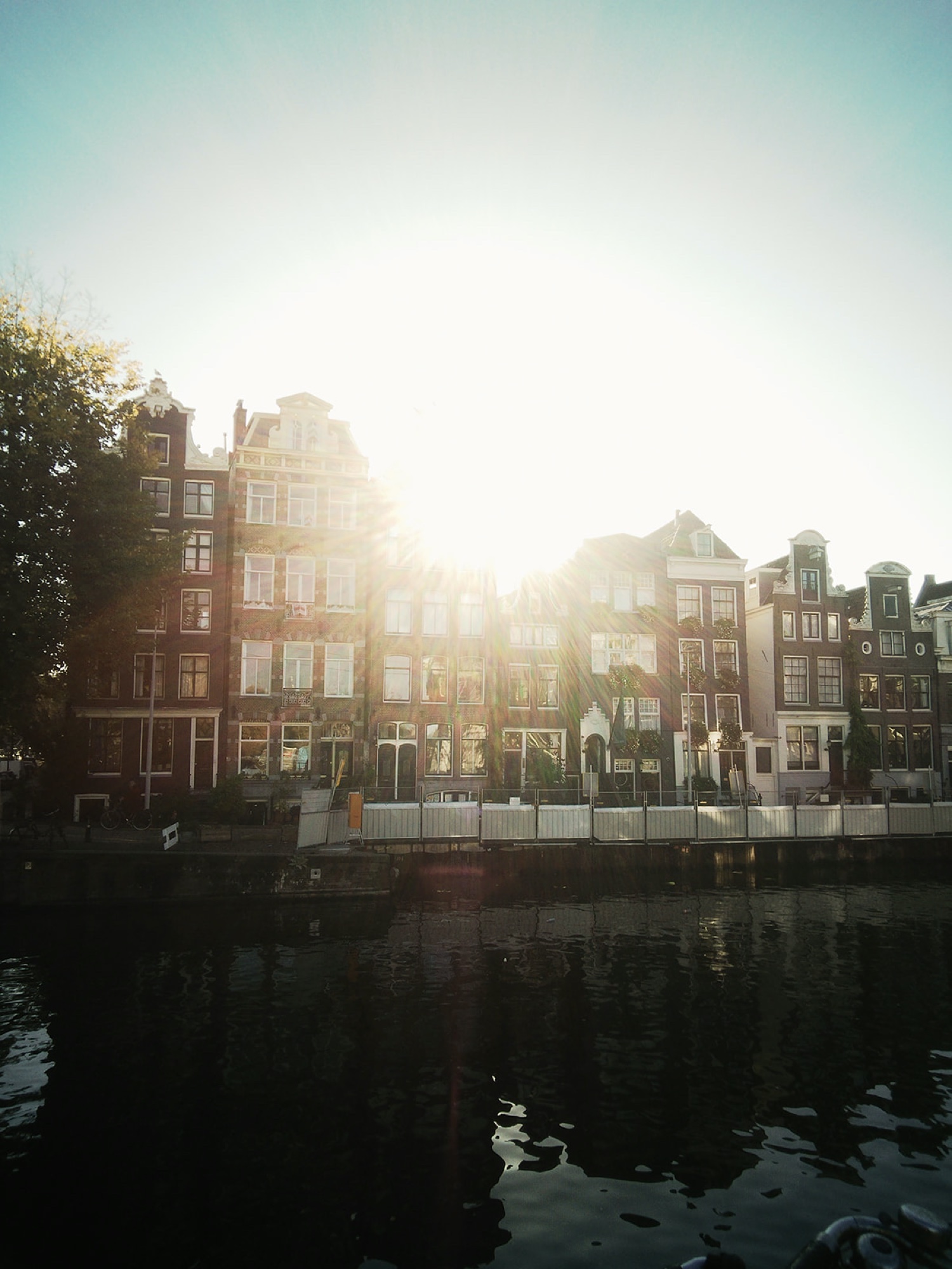 Holland - Dallas Olga Photography