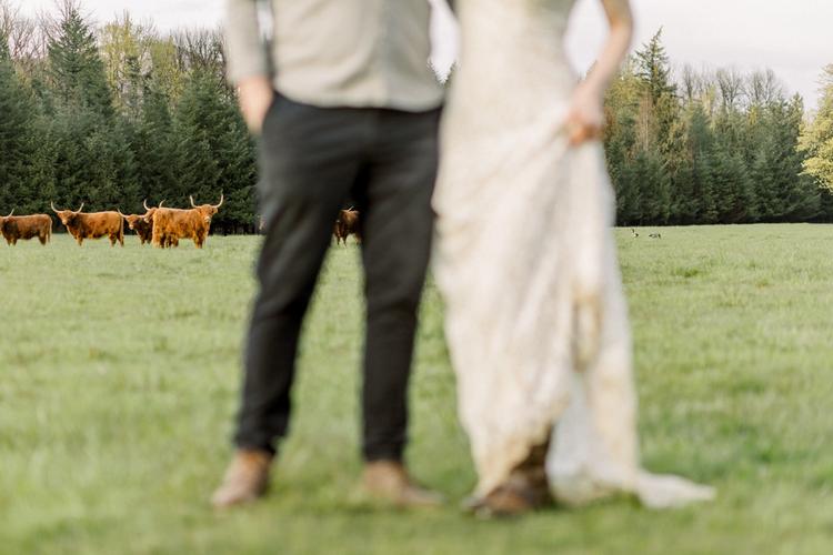 Oregon Spring Wedding on the Farm | amongtheoaks.co